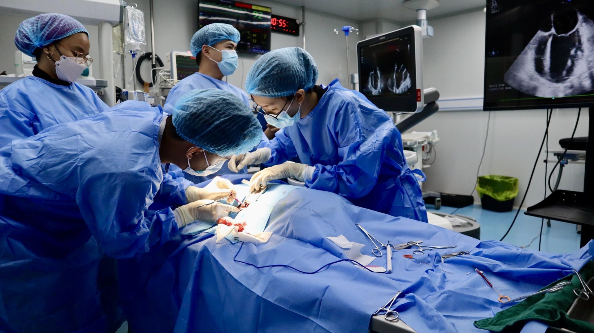 Understanding MMVD and treatments in layman’s terms – Shinzo Veterinary